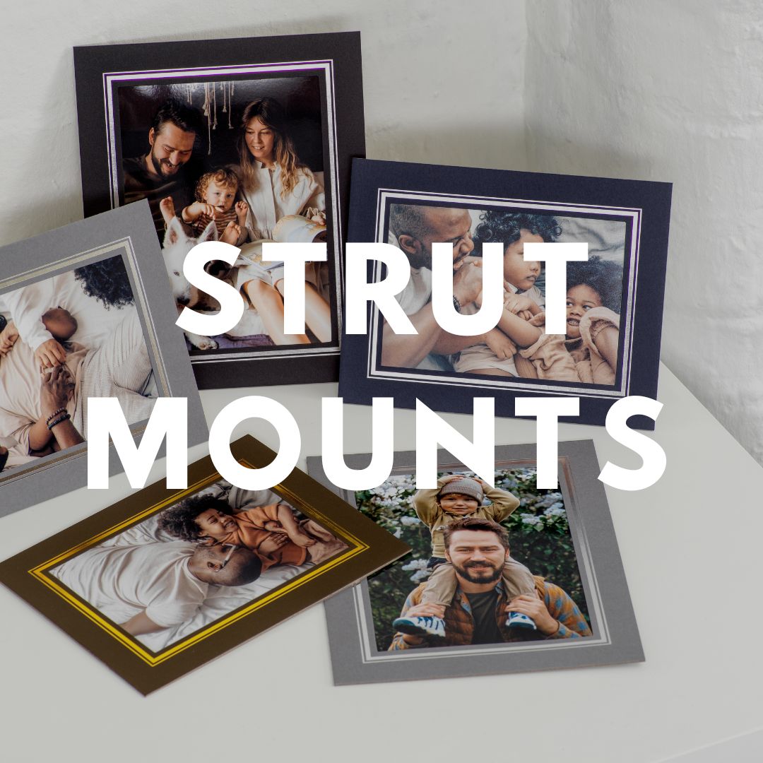 Picture Strut Mounts and Photo Folders | Kenro